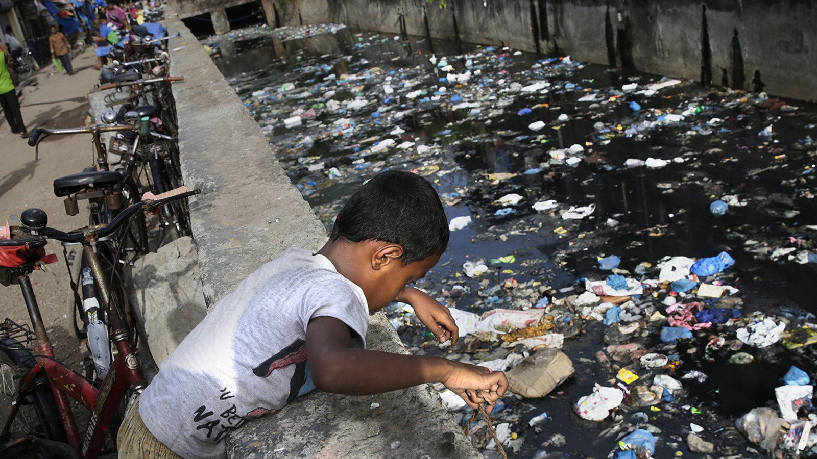 'The Science Is Clear': Declining Environment Will Kill Millions Each ...