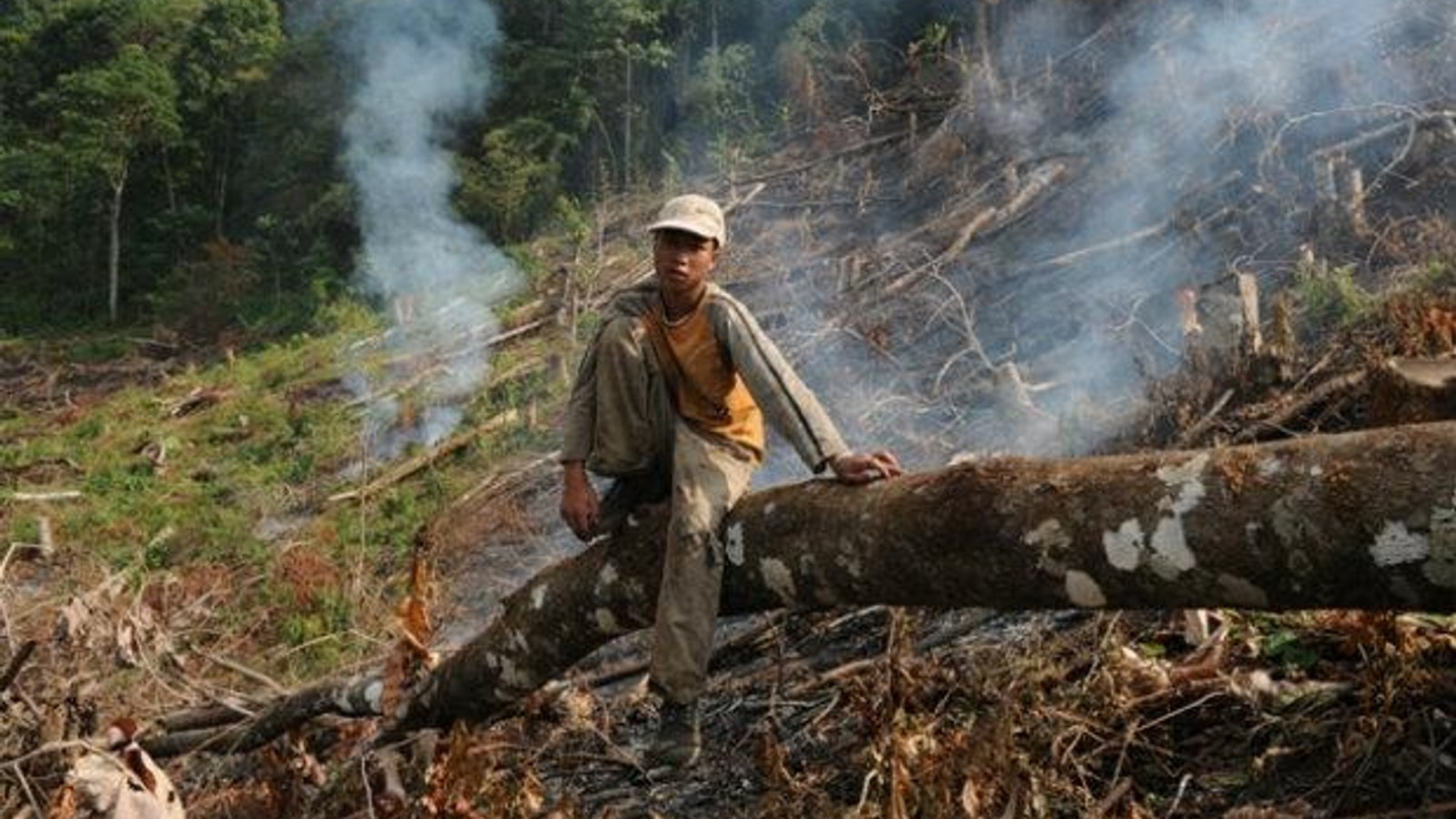 7 Reasons Why We Should Be Protecting Our Rainforests