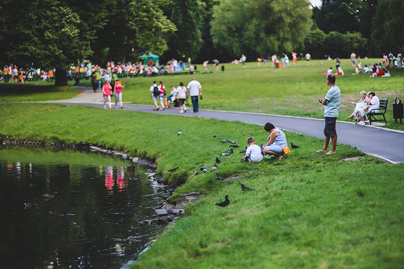 8 Ways Cities Are Healing the Planet
