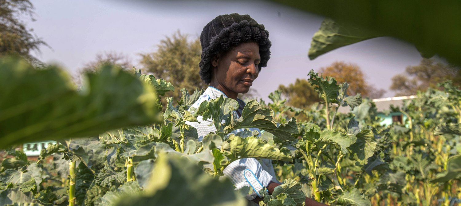 Ending Hunger in Africa Starts With This Policy — Here’s How