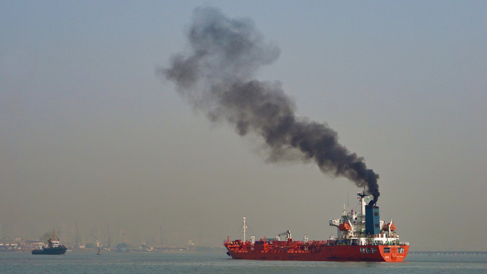 How Do Carbon Offsets Work: Voluntary Carbon Markets (and Their ...