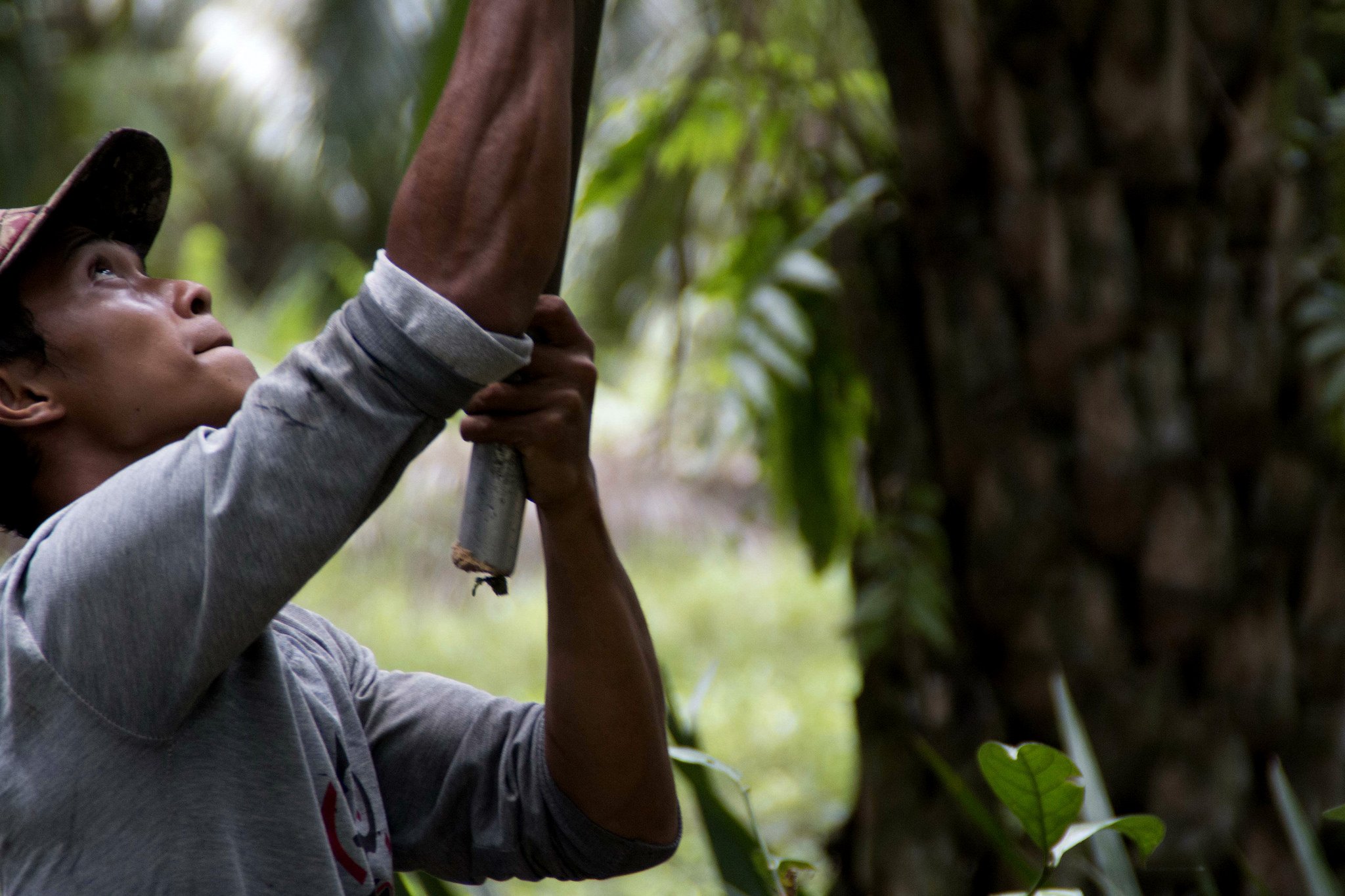 6 of the Most Exploited Natural Resources on Earth