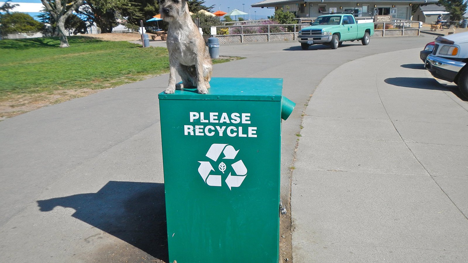 The 4 Things You Should Do Before You Ever Recycle Something