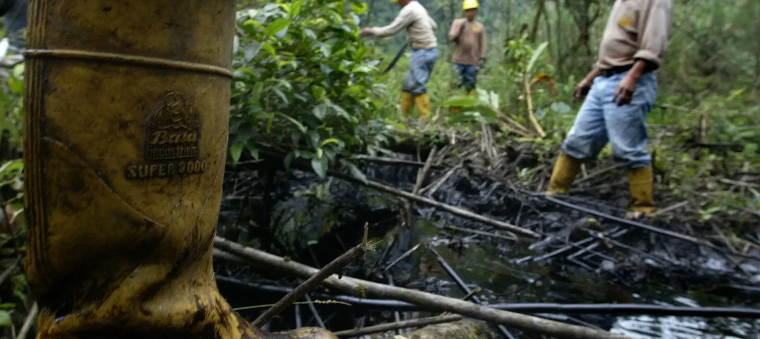 Protect the Amazon: Stop Oil Auctions in Vulnerable Territories!