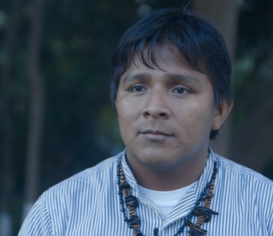4 Indigenous Leaders Share Why the World Must Care About Forests
