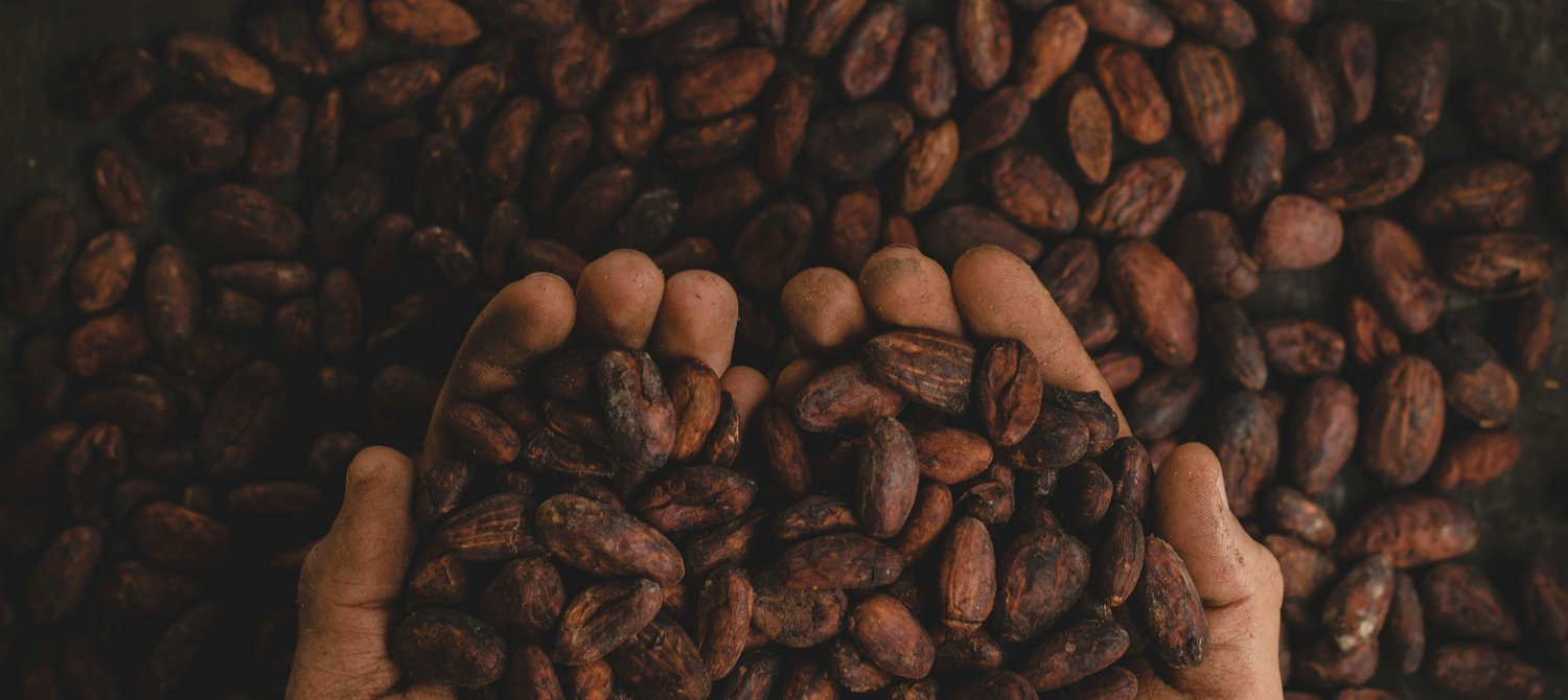 Pledge to Choose Ethical Chocolate