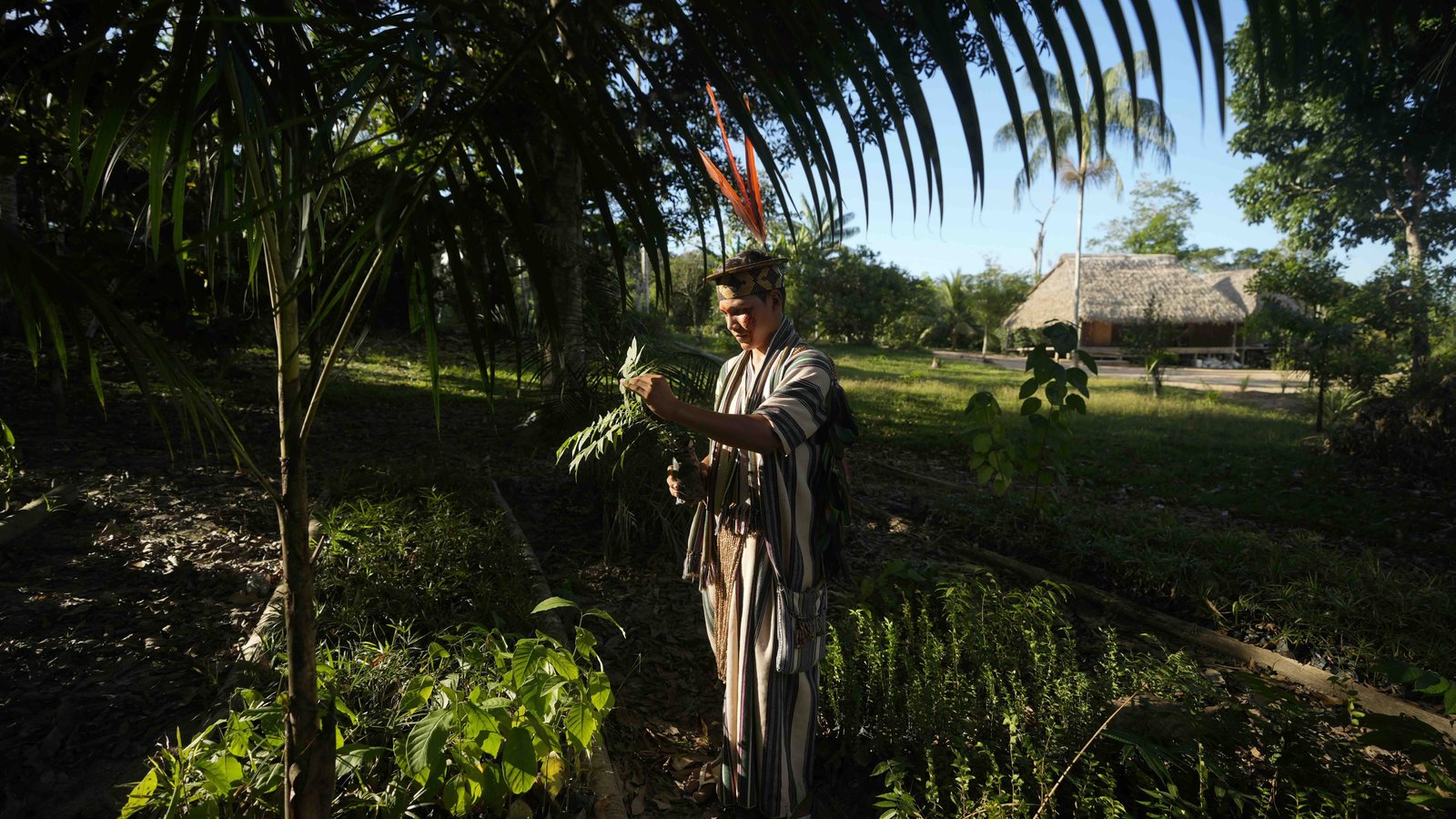 What's the Best Way to Save Our Rainforests? Ask Indigenous Communities