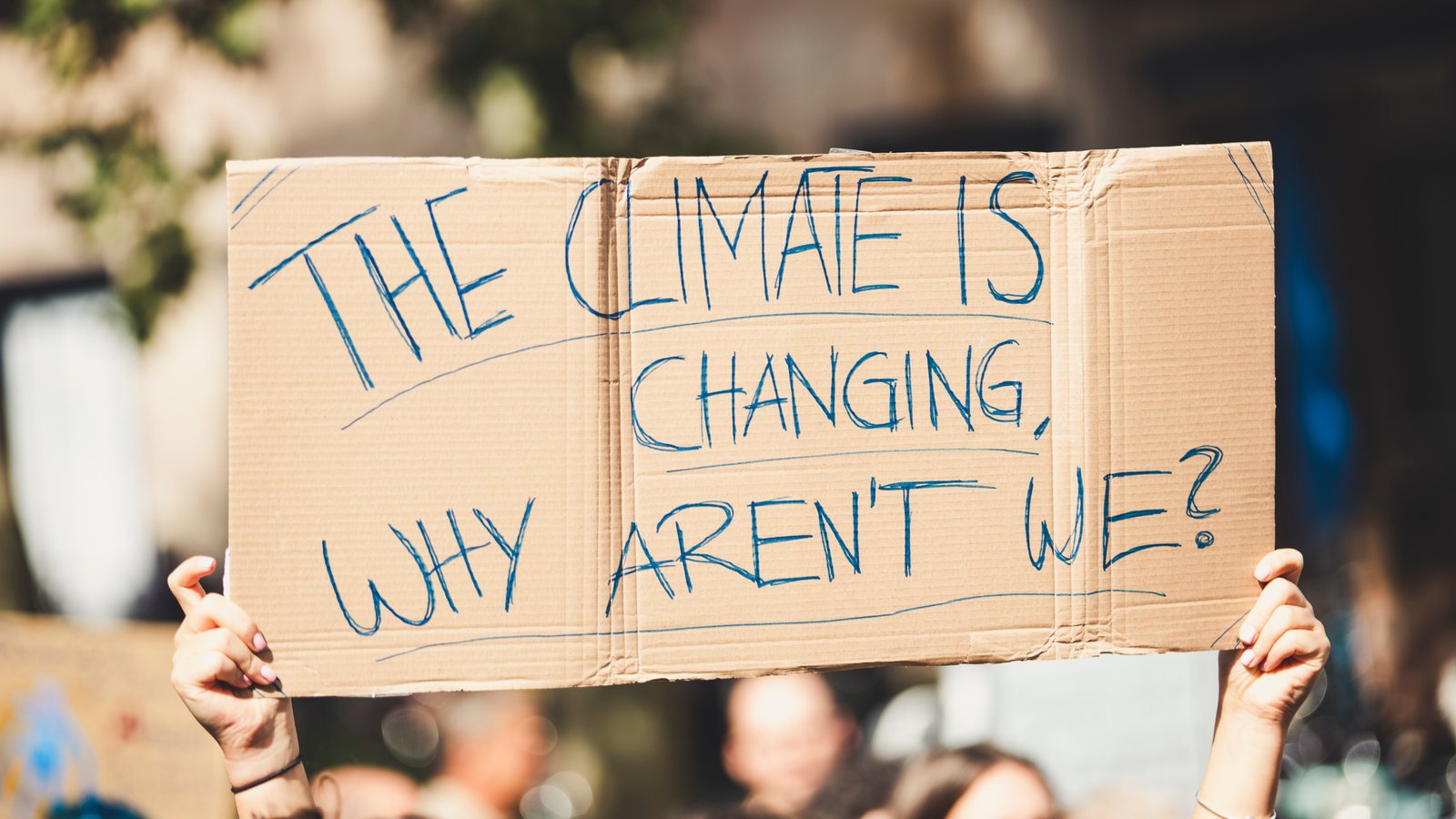 Climate Change: The Key Words and Phrases Everyone Should Know & Understand