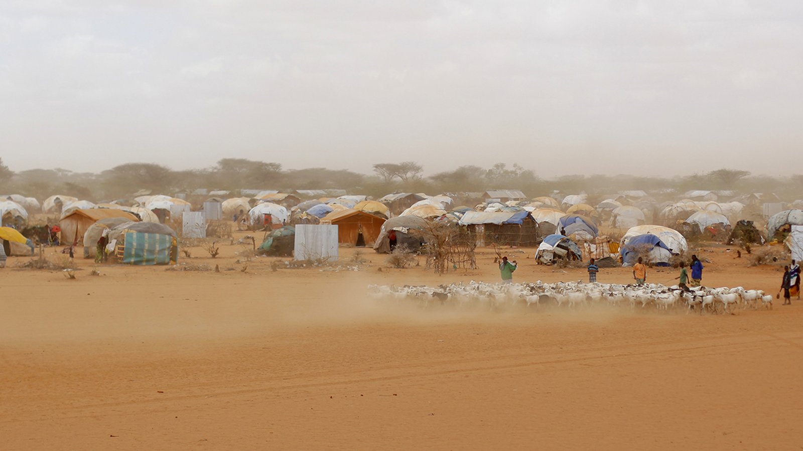 Why a Climate Refugee Crisis Is Actually Far From Inevitable