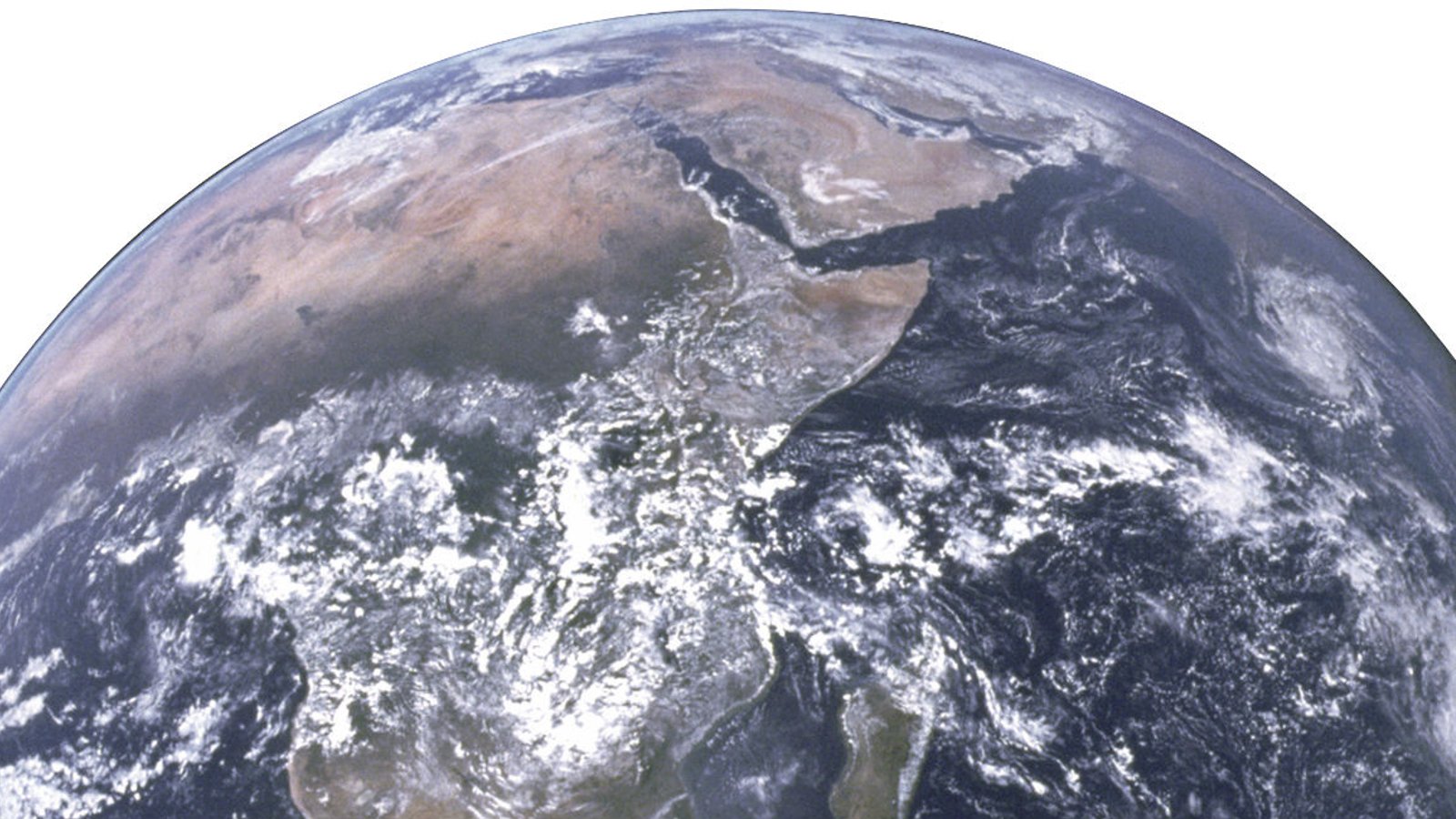 8 Planet-Friendly Ways To Celebrate Earth Day