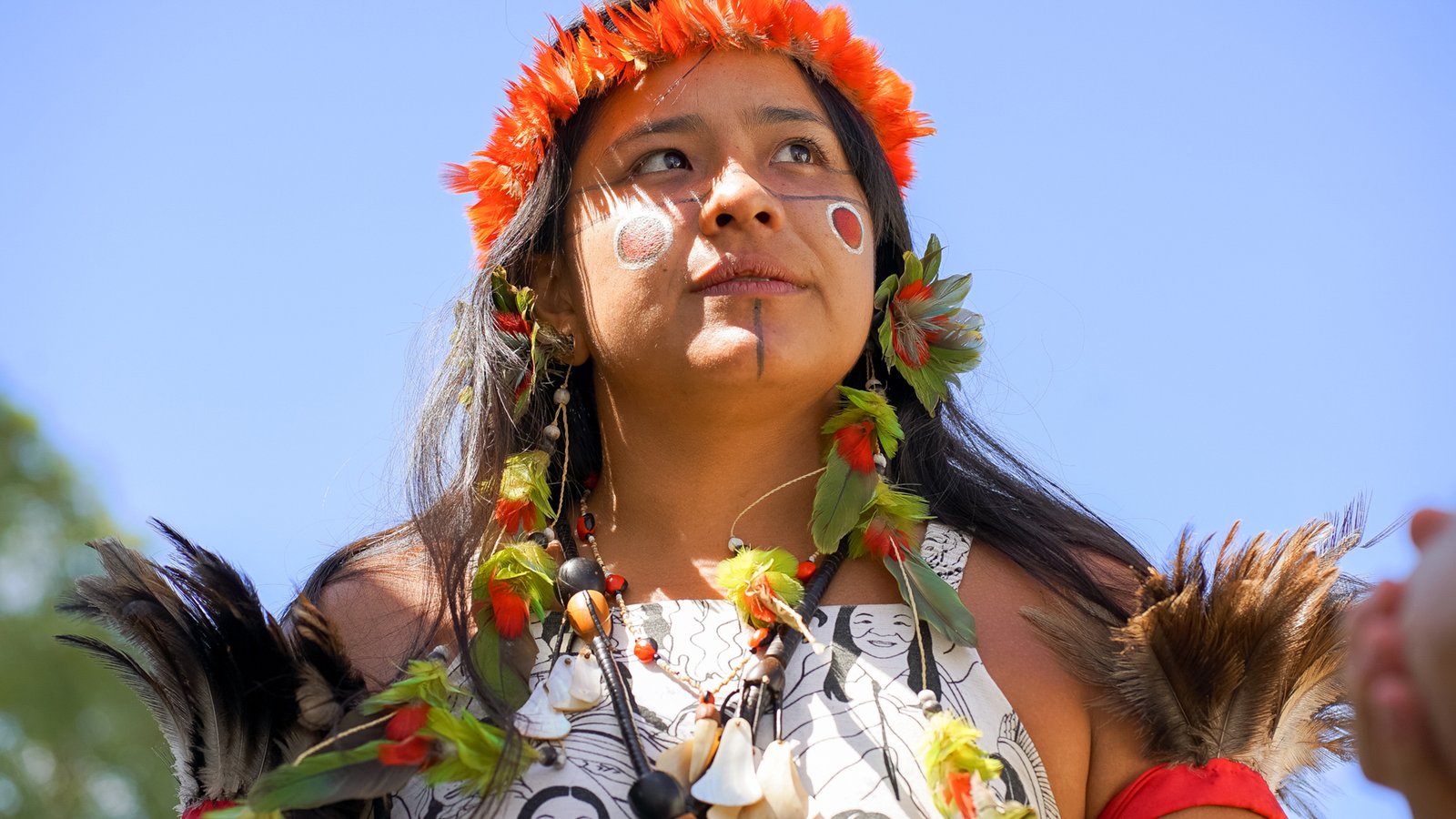How Taily Terena Became the Voice of an Indigenous Nation