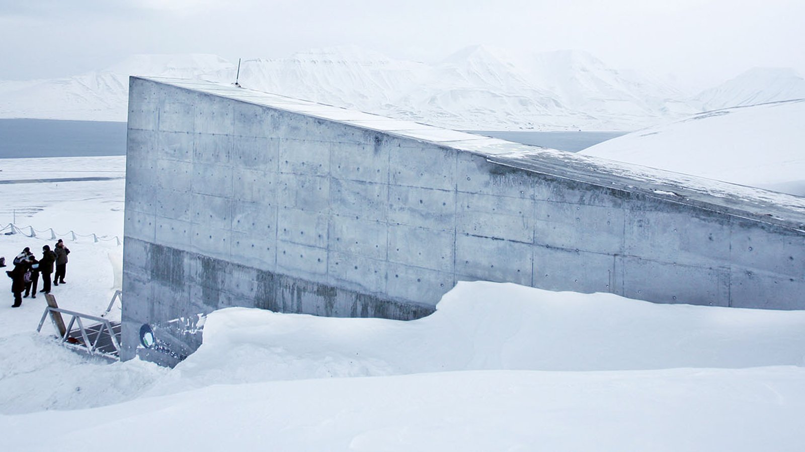 This Seed Bank in the Arctic Holds More Than 1 Million Seeds