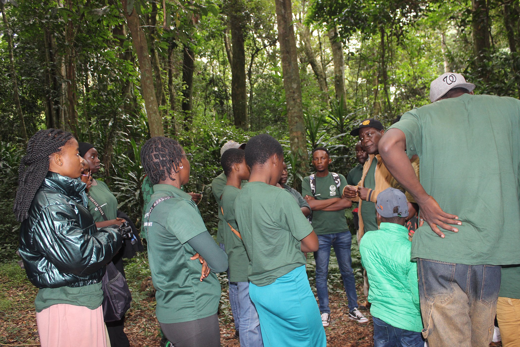 Nature Doesn’t Need Visas: How a Tree Followed Me From Exile to Activism