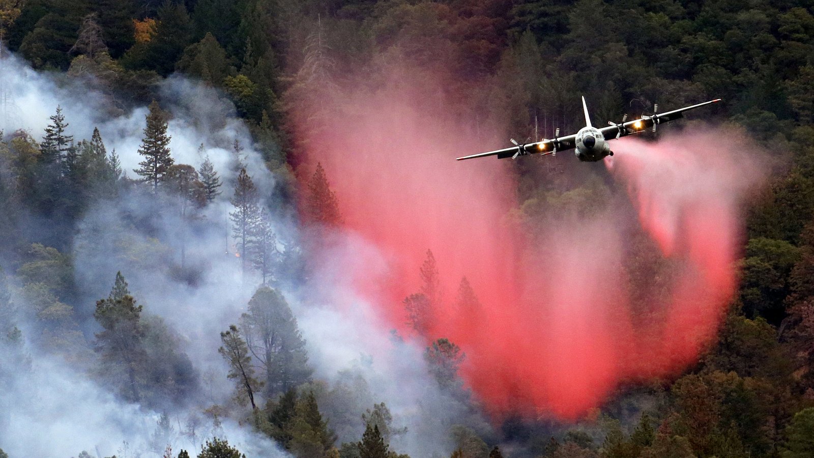 Climate Change Could Undermine Human Civilization by 2050, Report Argues