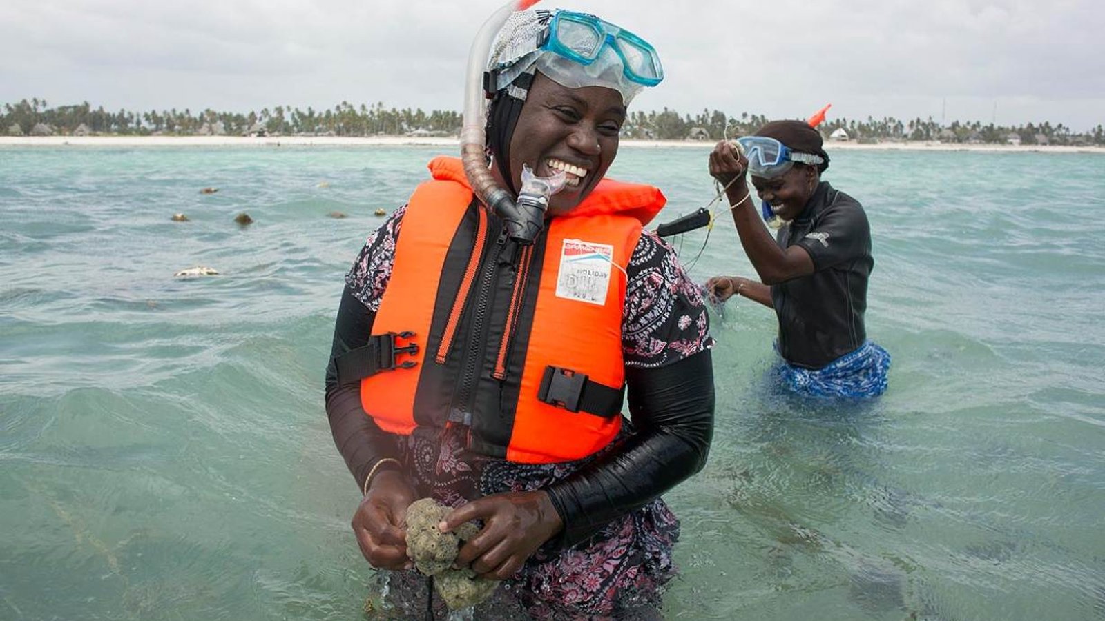 These Amazing Women Sea Farmers Grow Sustainable Sponges Despite ...