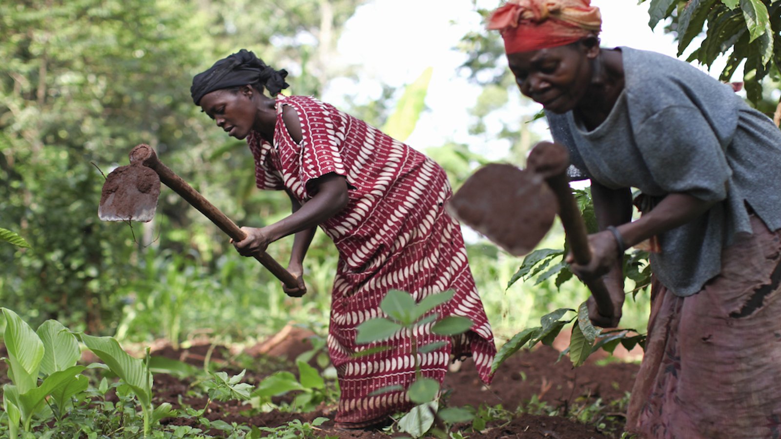 How Empowering Female Farmers Could End World Hunger