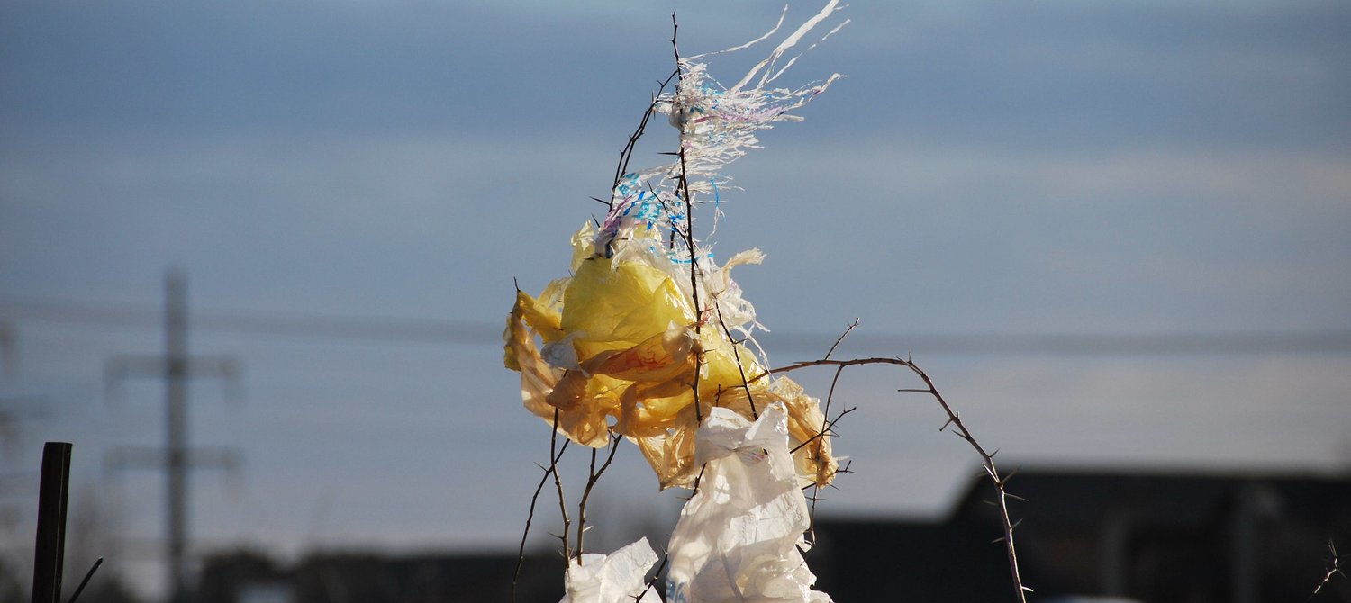 China Just Announced Major Plan to Ban Single-Use Plastics