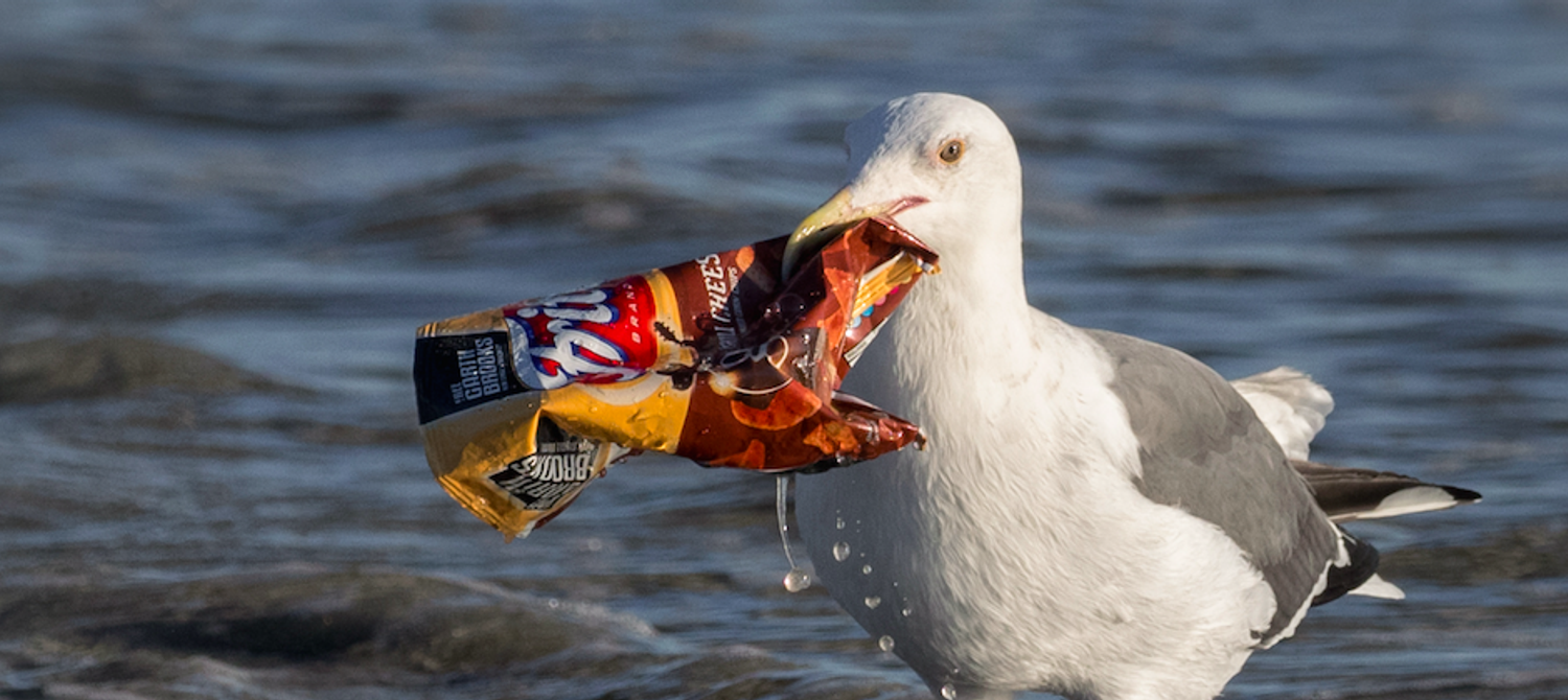 As Landfills Overflow, 7 Ways to Cut Plastic From Your Life