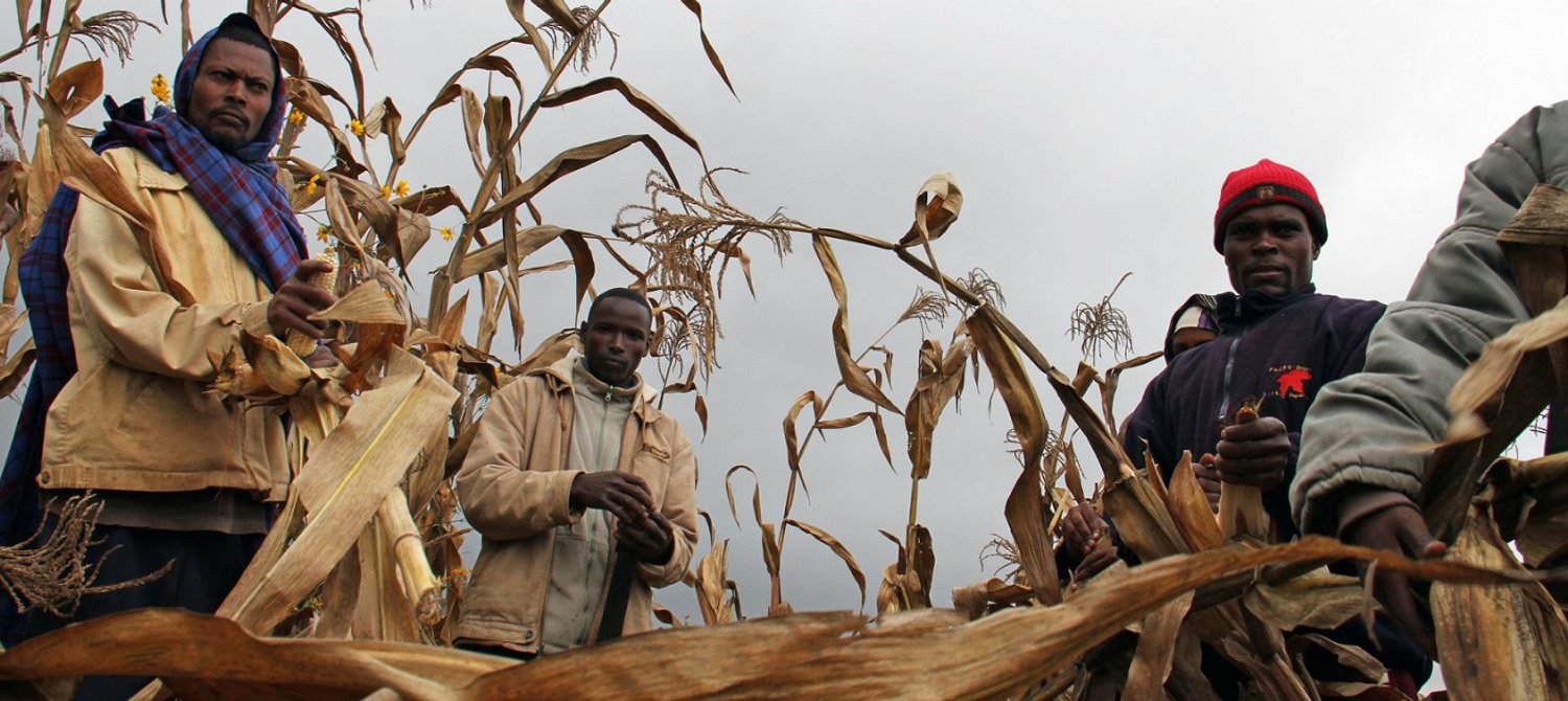 4 ways climate change is affecting food security right now