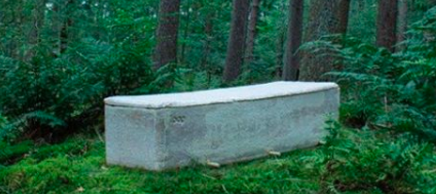 This ‘Living’ Fungi Coffin Could Revolutionise Graveyards