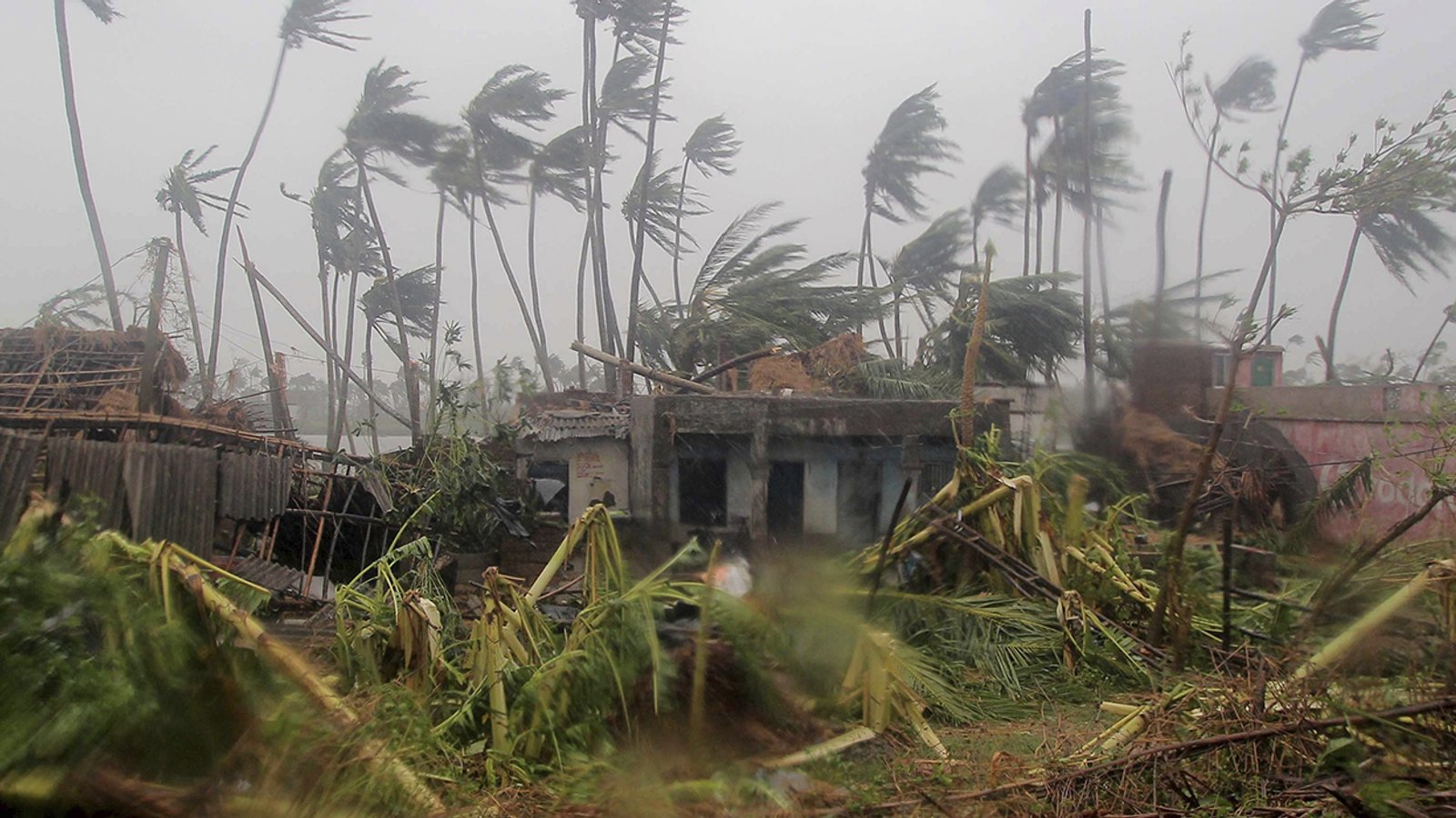 3 Ways You Can Help the Victims of Cyclone Fani