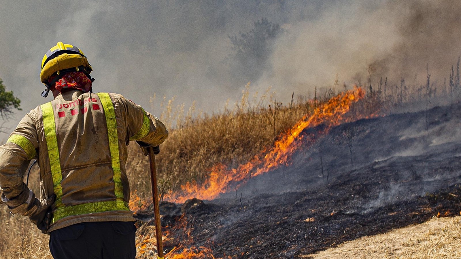 Wildfire Rages in Spain After Pile of Manure Turns to Flames During ...