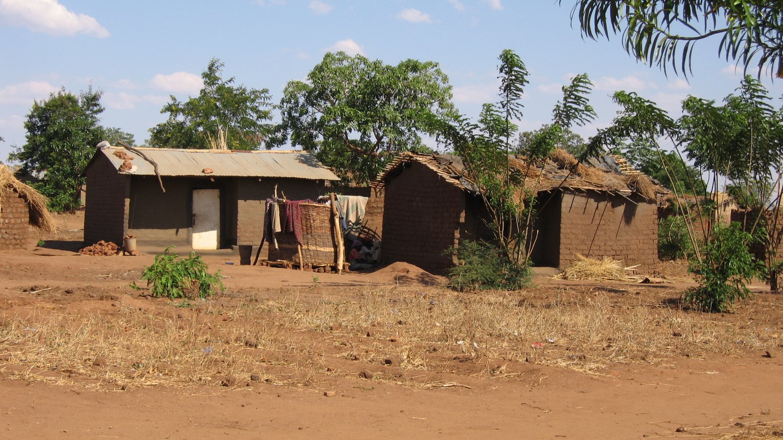 “The Boy Who Harnessed the Wind” Focuses on Issues Facing Malawi