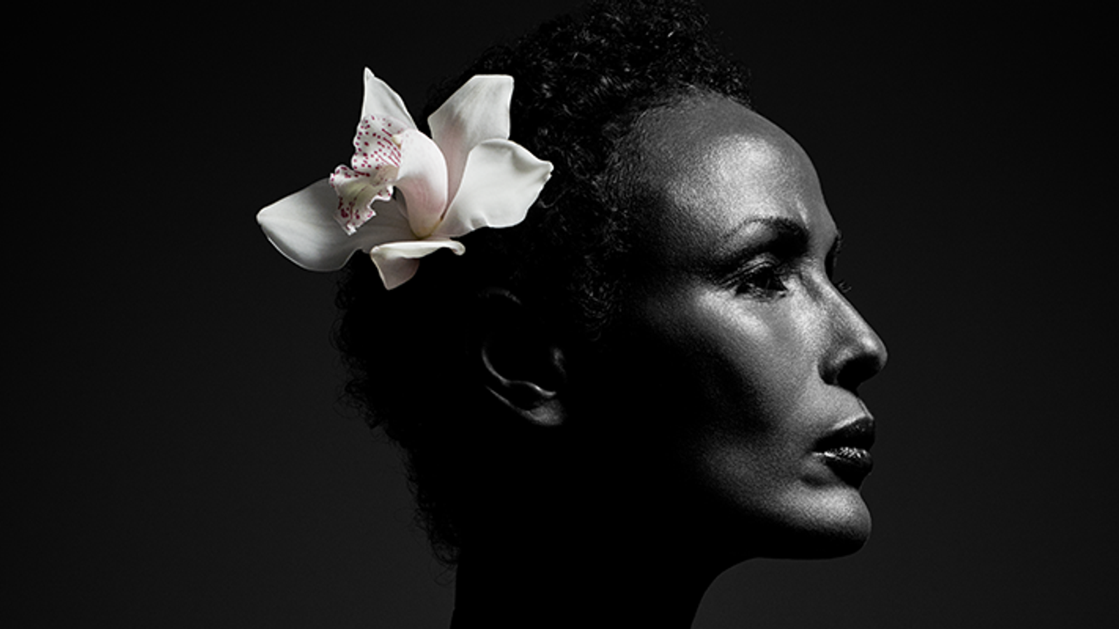 In Her Own Words: Model, Author and Activist Waris Dirie