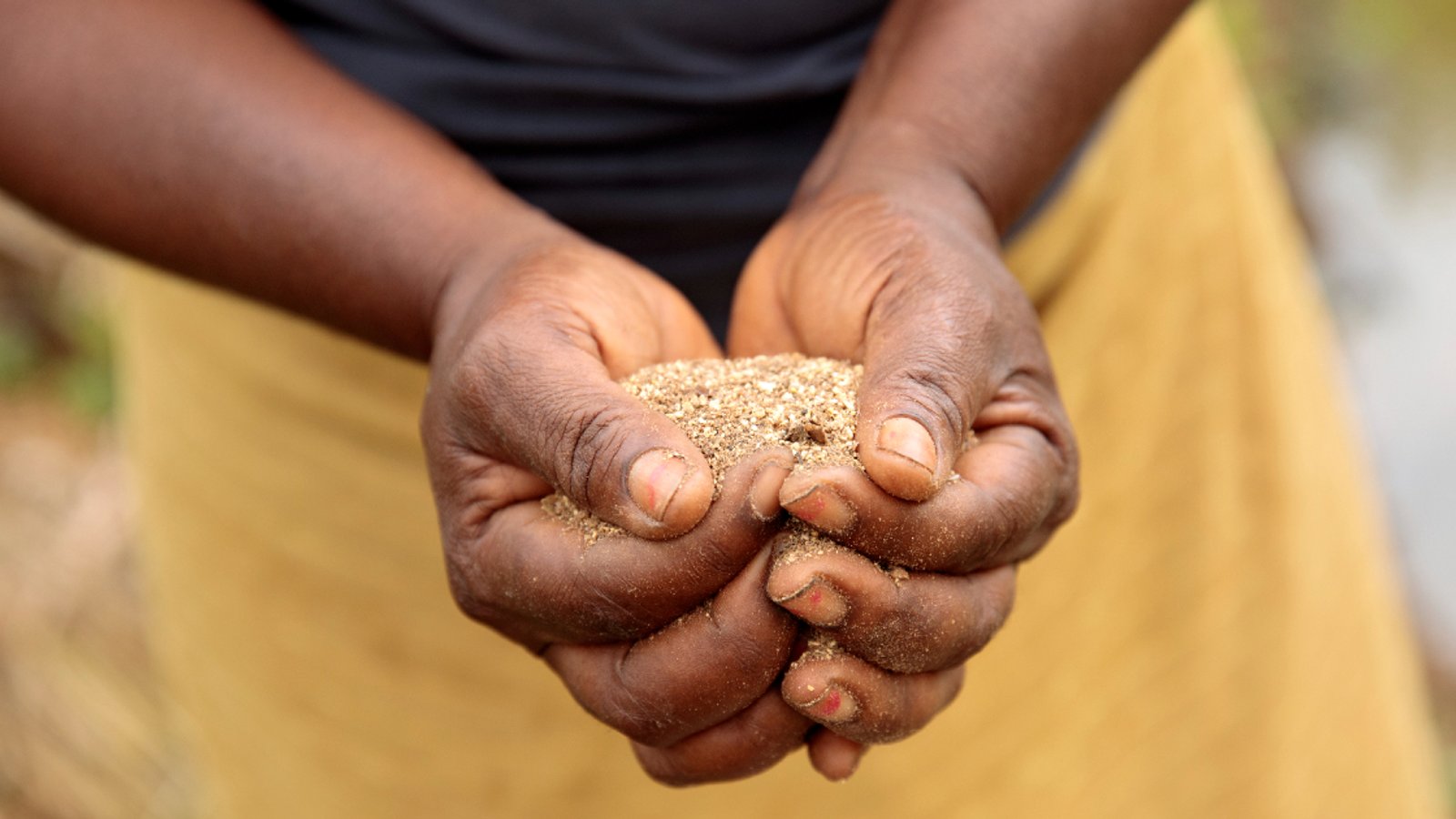 The UN’s Latest Food Insecurity Report is Bleak. How Can The World Turn ...