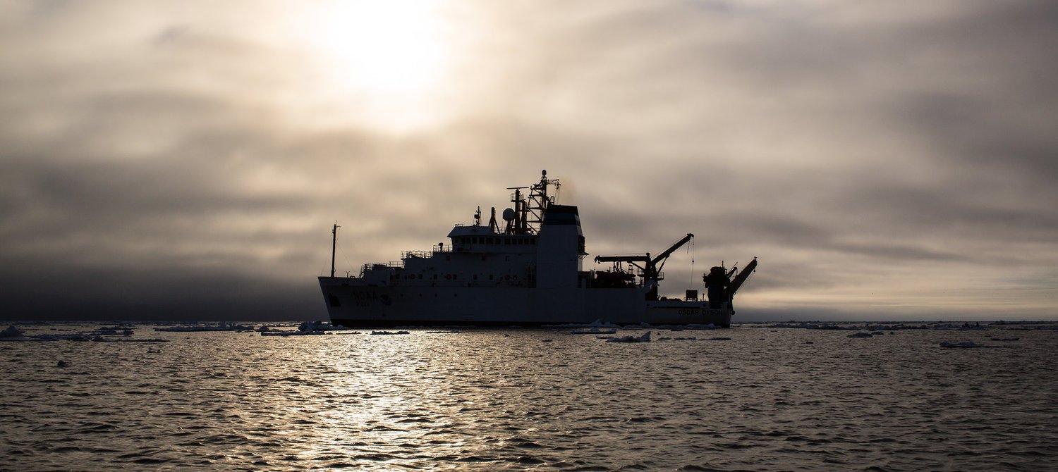 Billions of Snow Crabs Have Disappeared From Alaska's Waters. Here's ...
