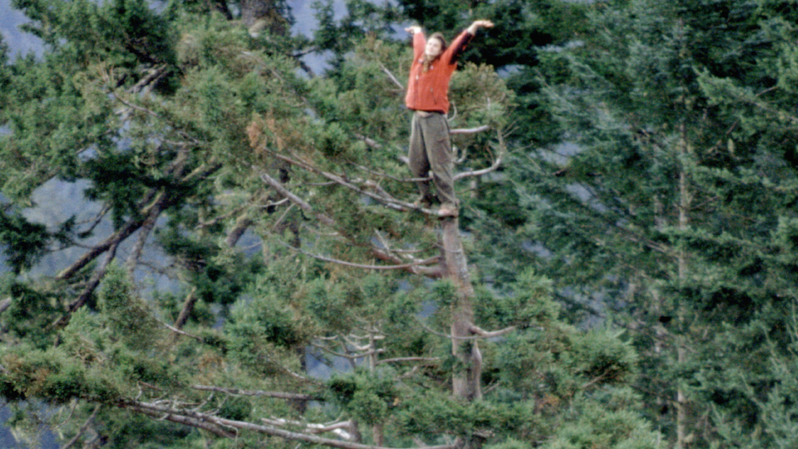 She Defined the Environmental Movement in the 90s by Tree-Sitting. Now ...