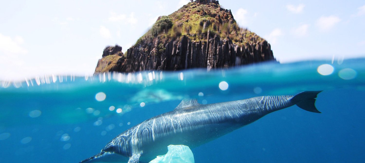 The Tiny Microbeads In Soap May Pose a Big Environmental Problem