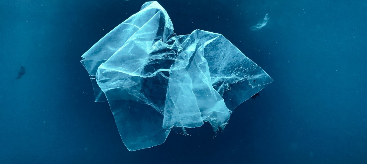 Ditch Disposables: Pledge To Cut Single-Use Plastics