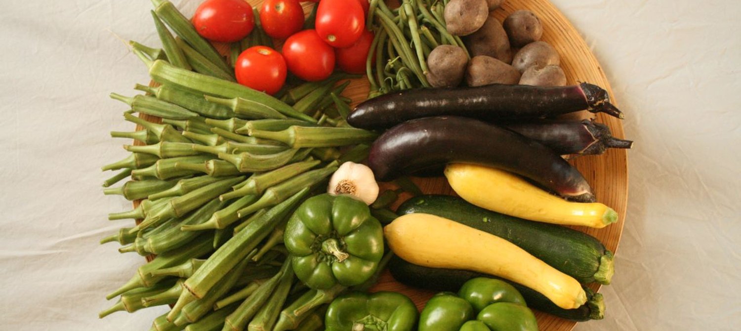 The 7 Best Foods You Can Eat For An Eco-Friendly Diet
