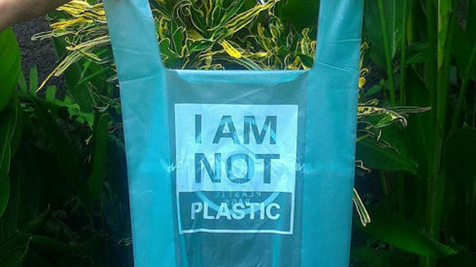 Avani Bioplastic “Eco Bags” Feed Animals, Doesn’t Hurt Them