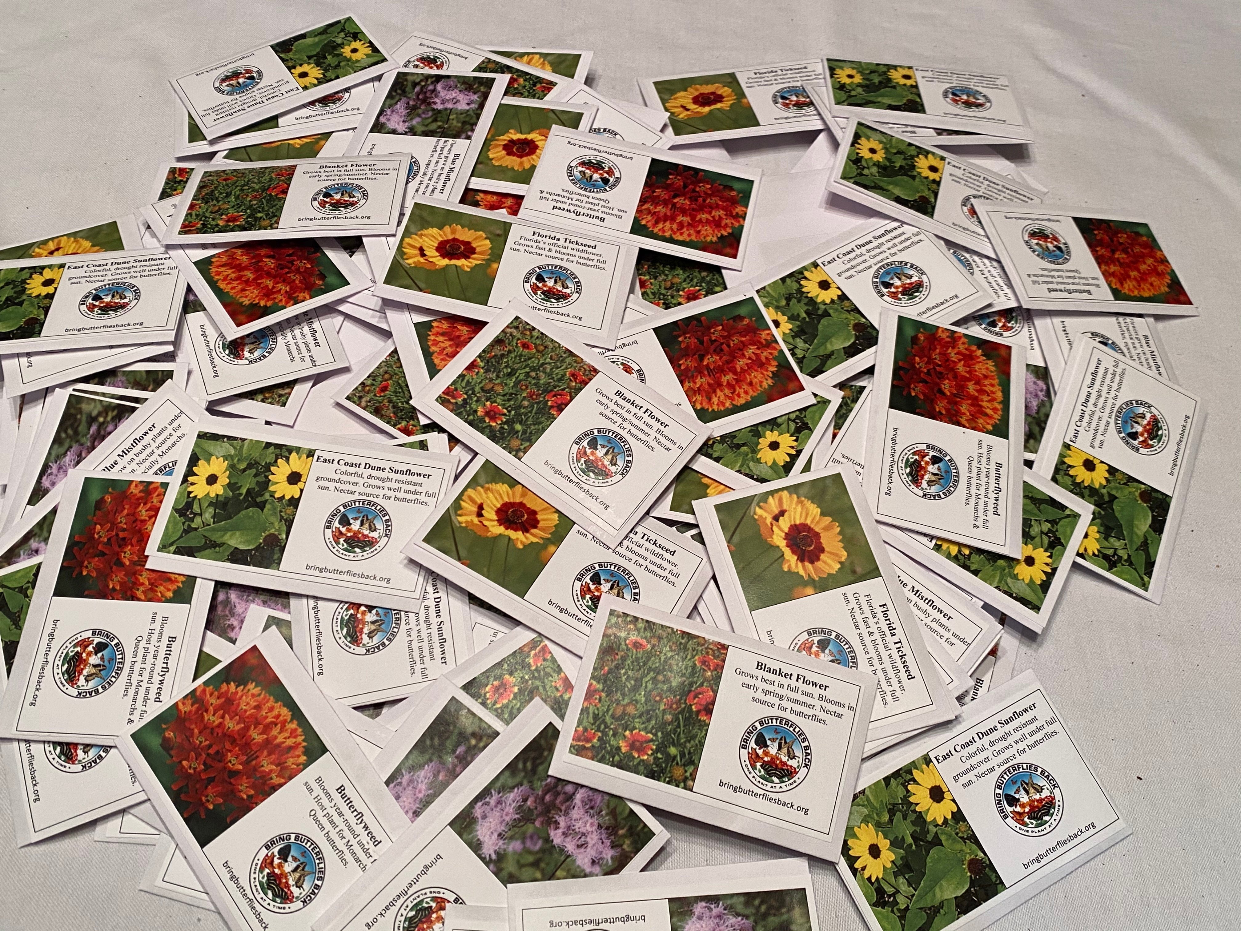 This High School Student Has Been Saving Butterflies Since He Was 5