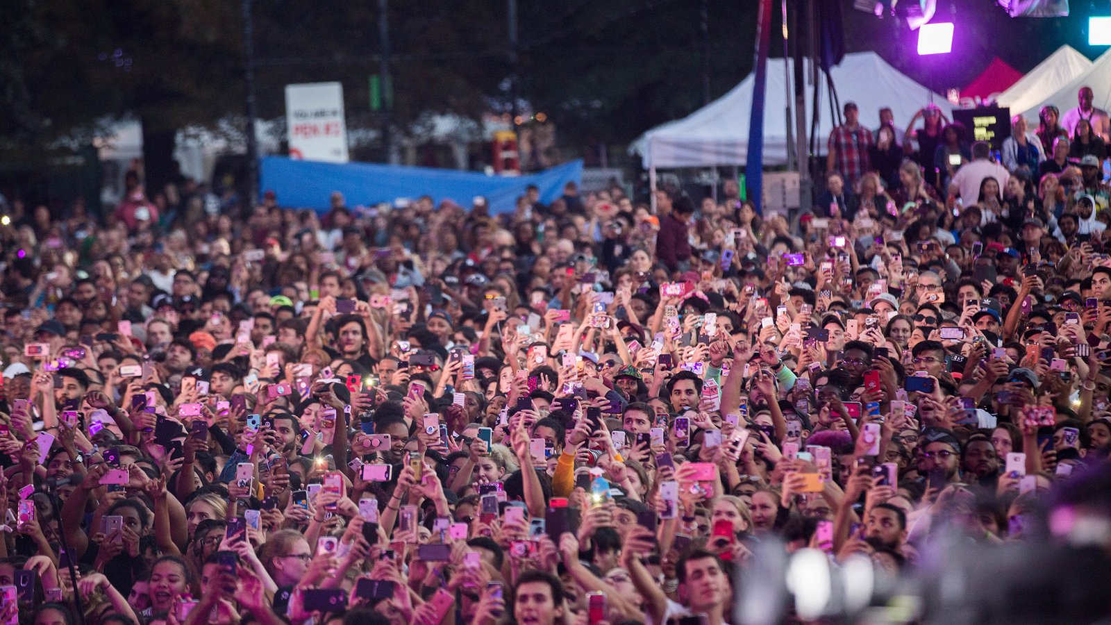 12 Essential Songs for Fighting the Climate Crisis