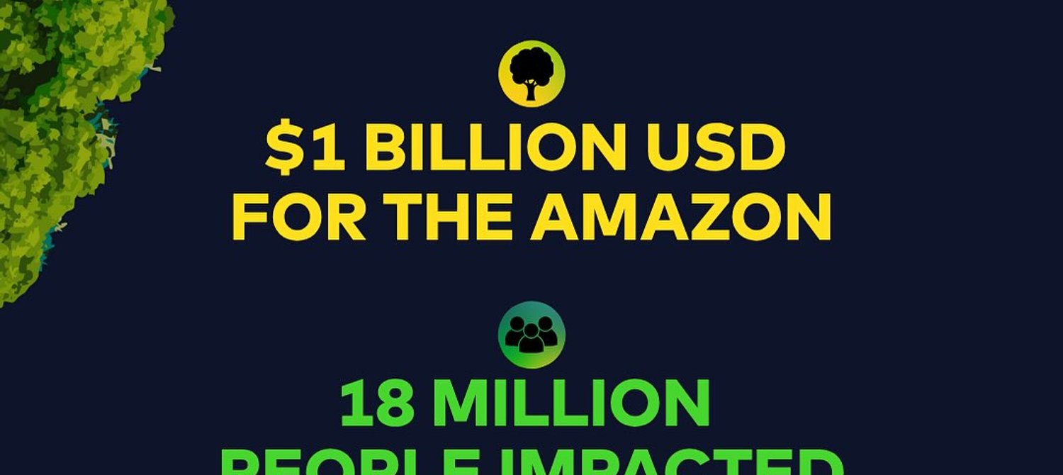 Impact: Our Protect the Amazon campaign hit its $1B goal - Story ...