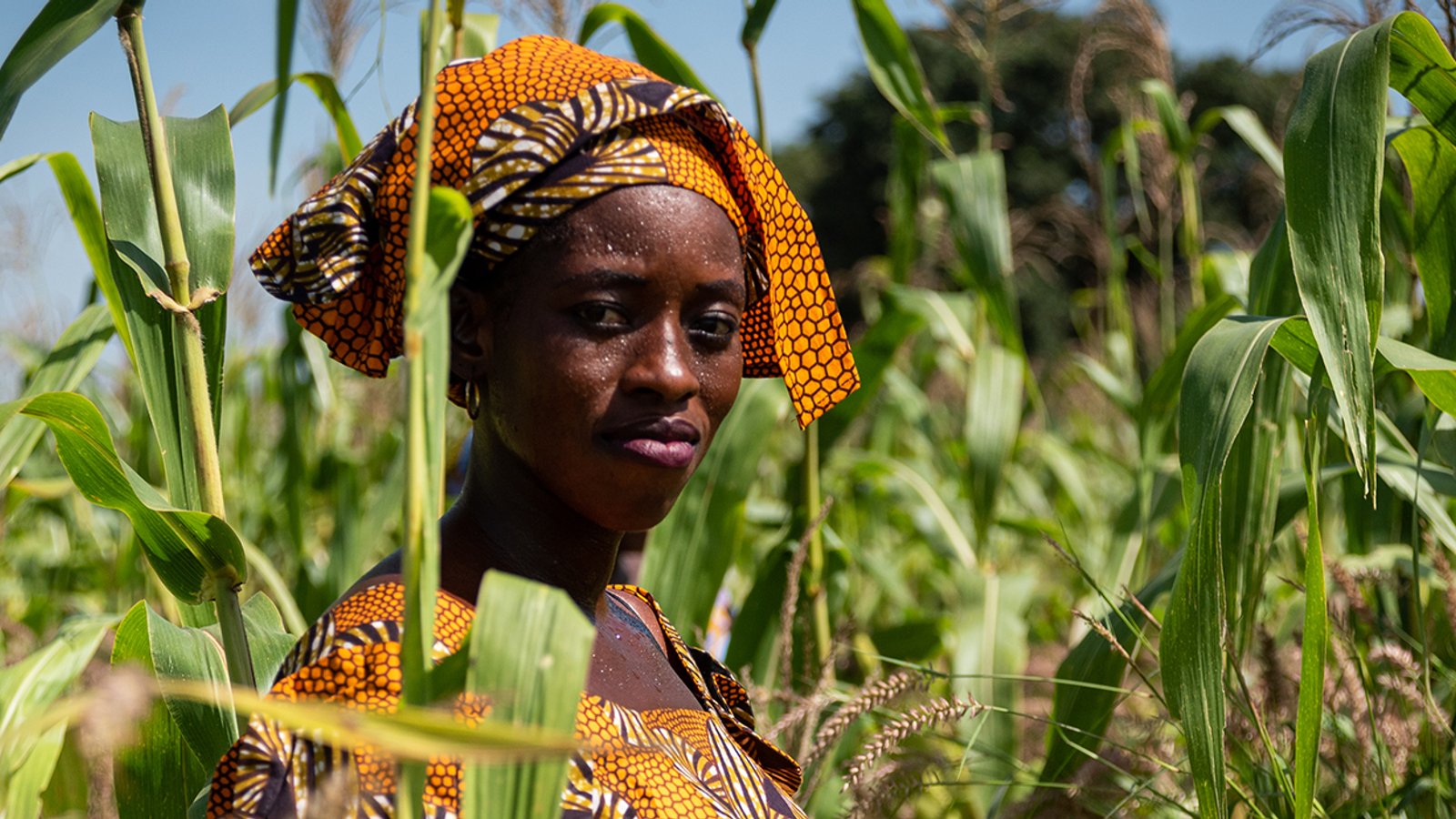Countries Worldwide Are Stepping Up to Support Rural Farmers Living in ...