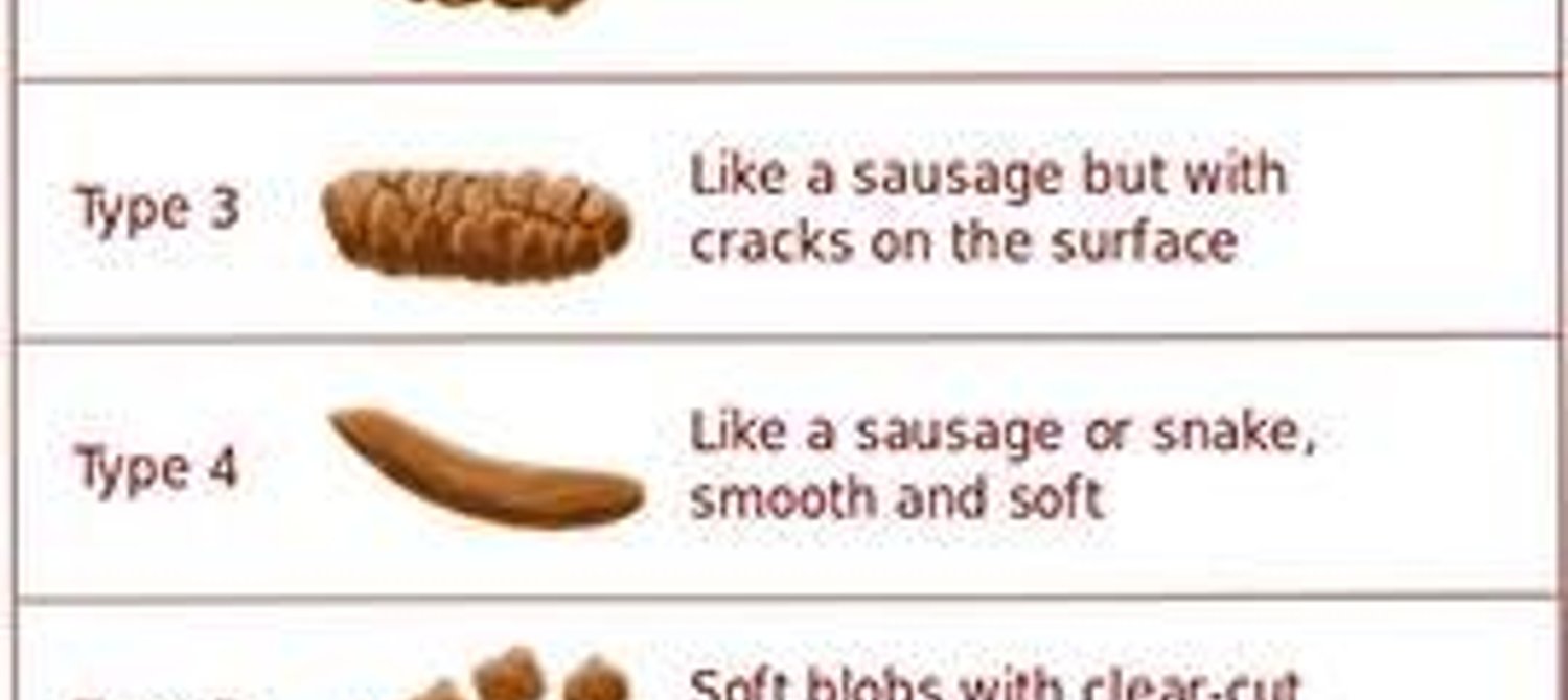 Rate your poop: how does yours measure up?