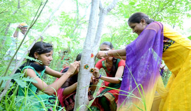 This Indian Village Plants 111 Trees Every Time a Girl Is Born