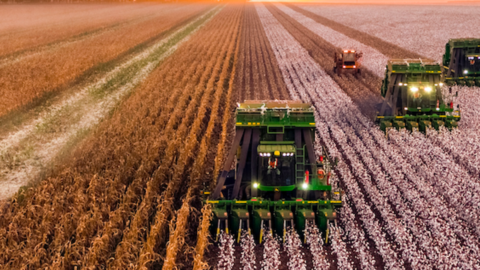 World Must Transform Agriculture or Face Unrest, Scientists Warn