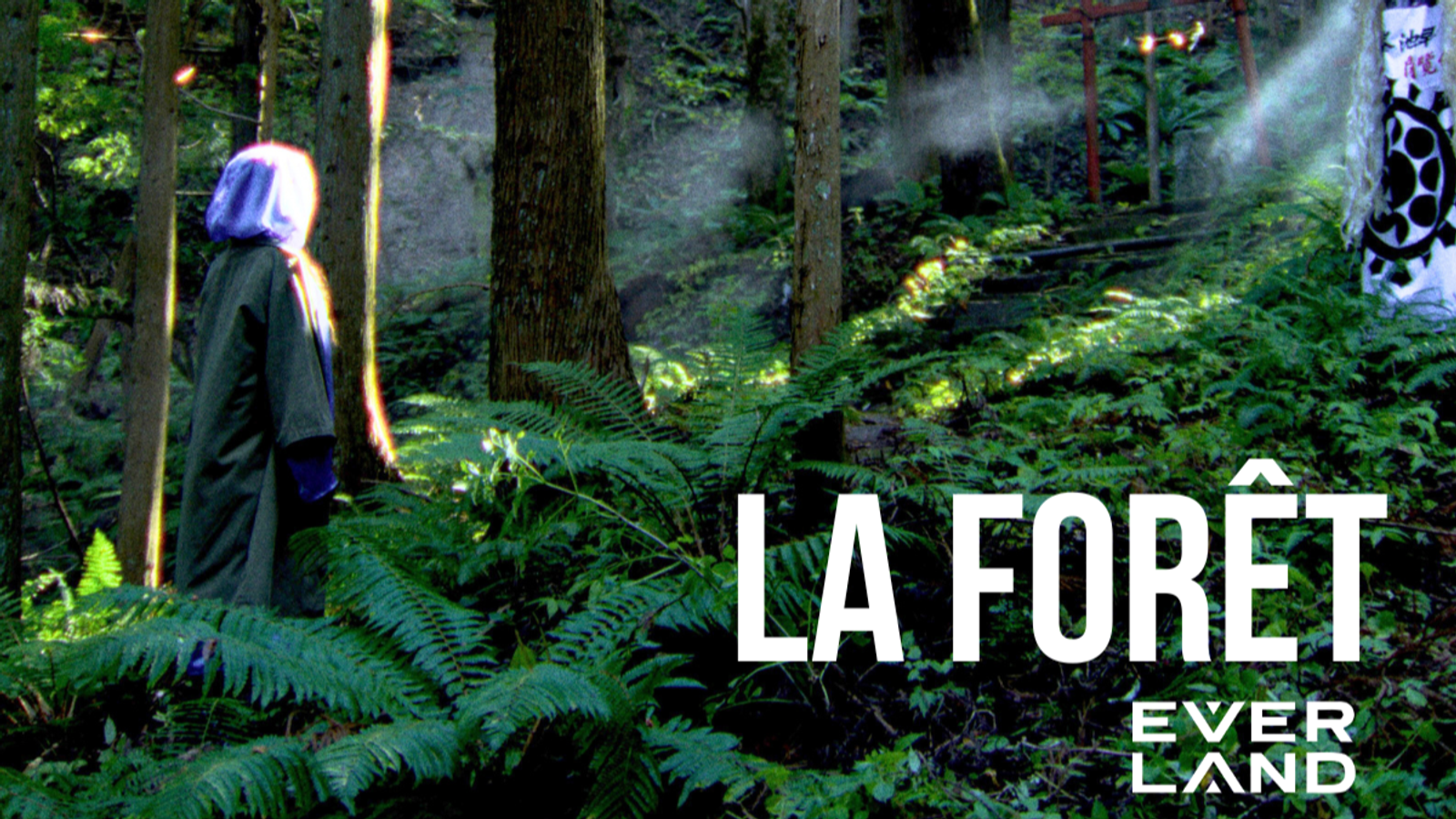 This French-Japanese Singer Combines Music and Activism to Protect the ...
