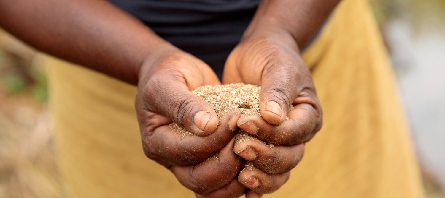 The UN’s Latest Food Insecurity Report is Bleak. How Can The World Turn ...