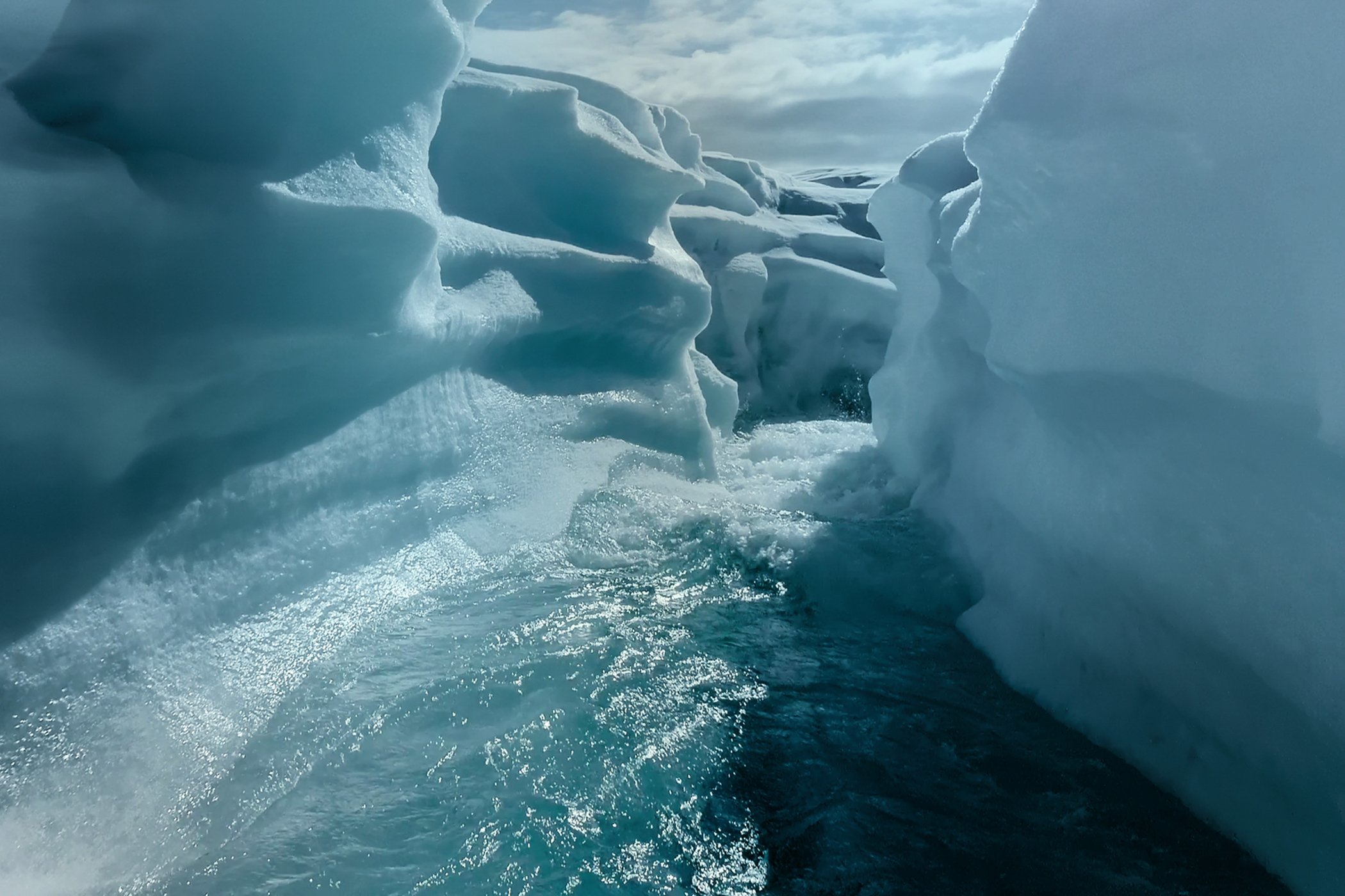 9 Staggering Facts From David Attenborough’s New Devastating ...