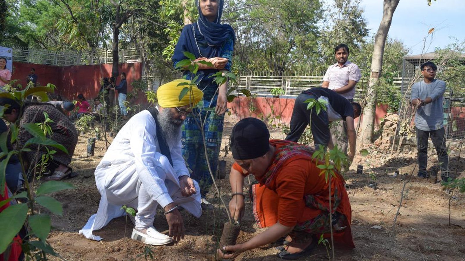 Sikhs Around the World Are Planting 1 Million Trees to Fight Climate Change
