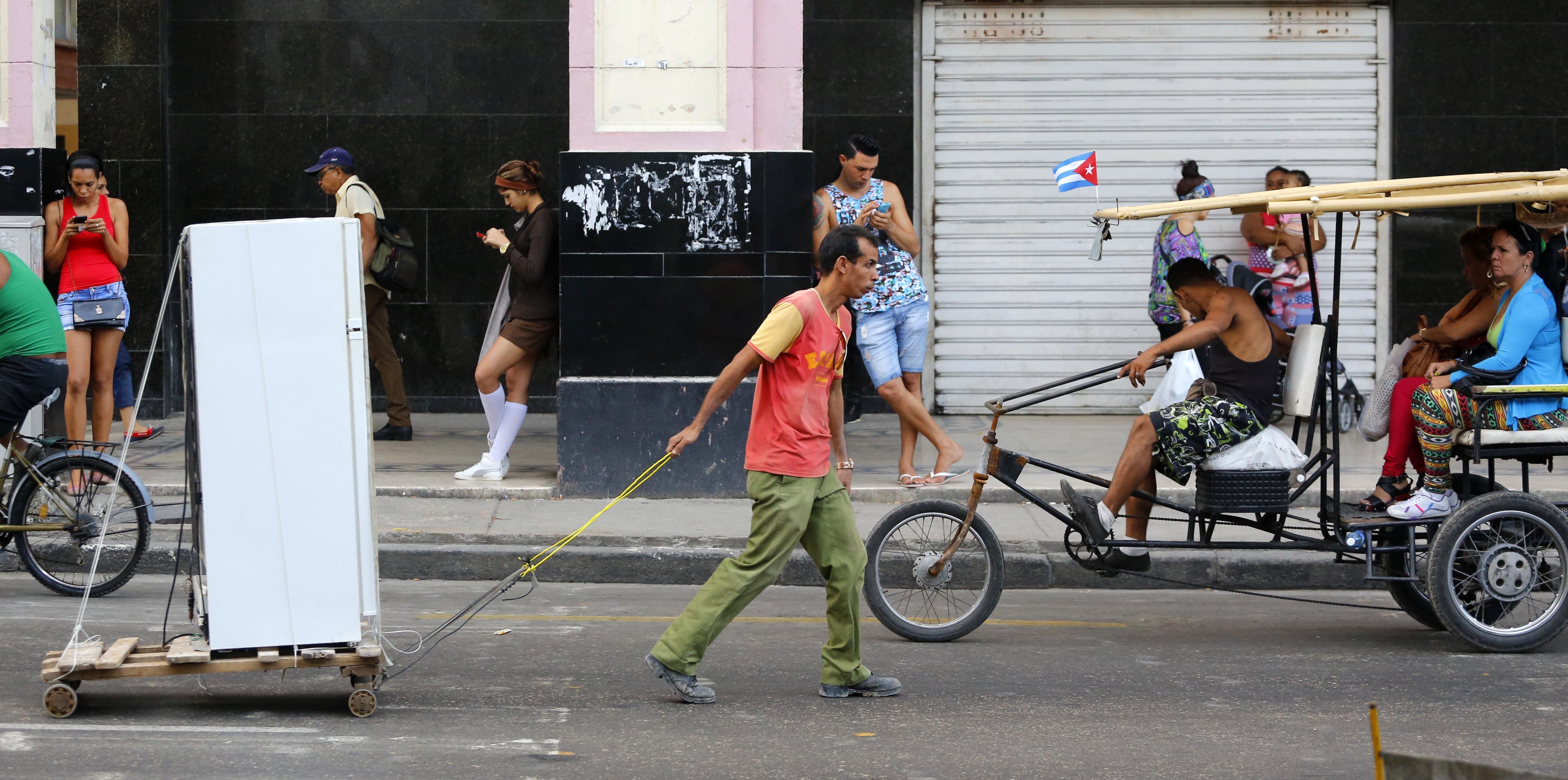 The 10 Best Ways to Combat Climate Change, According to Experts