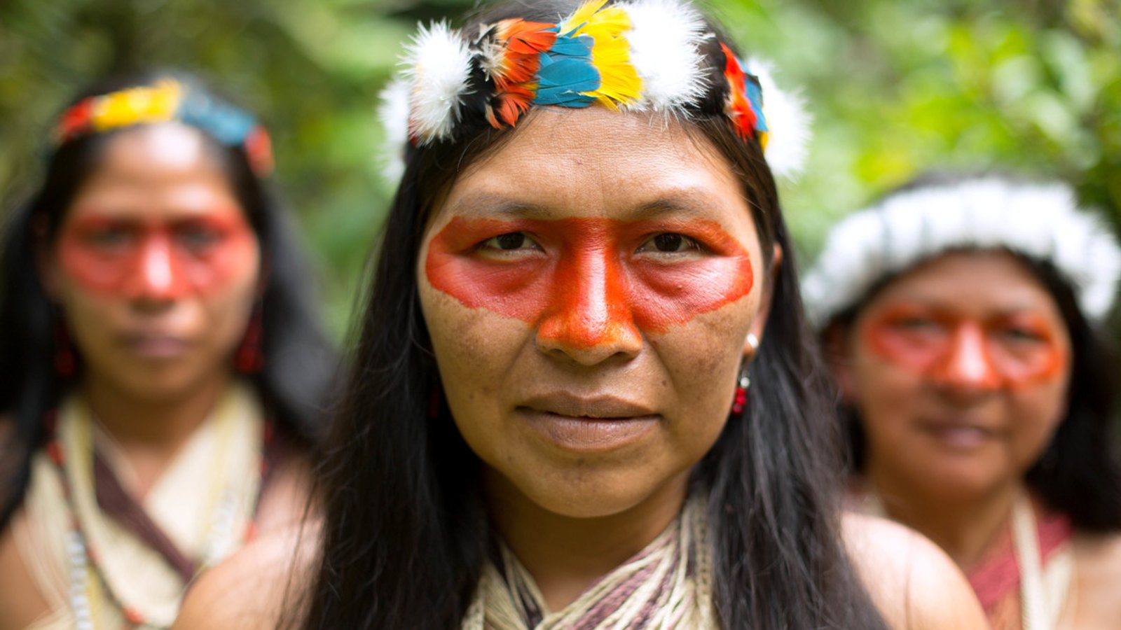 Custodians of Knowledge: 5 Reasons Indigenous Peoples Hold the Key to ...
