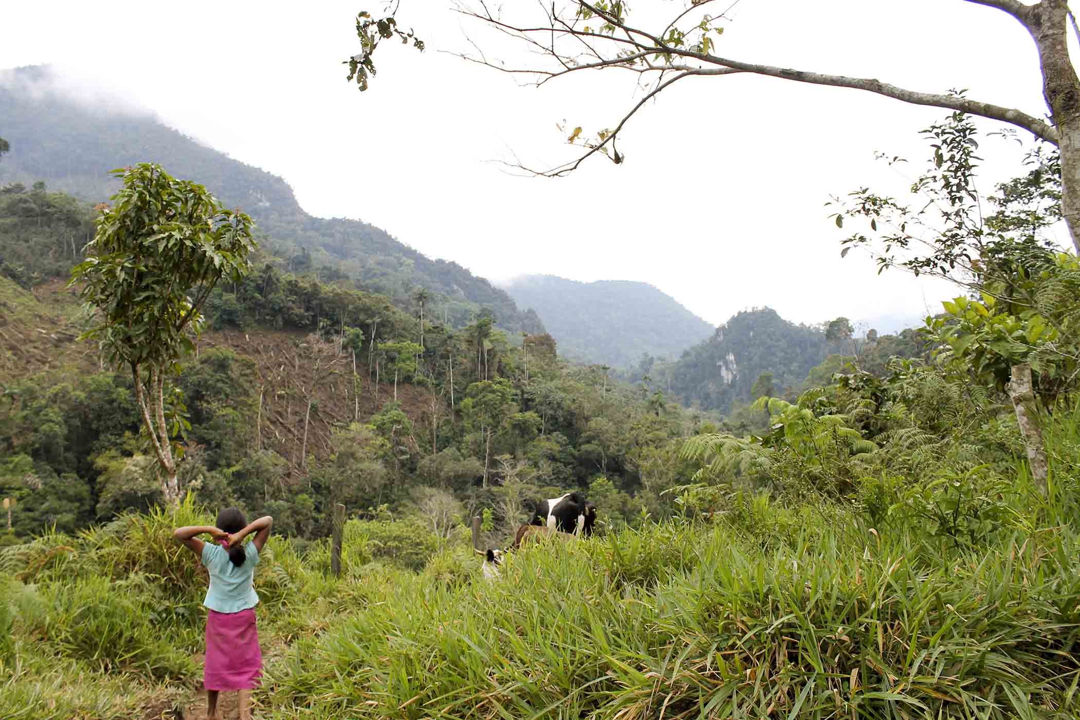 What Is the Climate Crisis and How Can We Take Action NOW to Stop It?