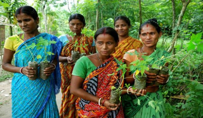This Indian Village Plants 111 Trees Every Time a Girl Is Born